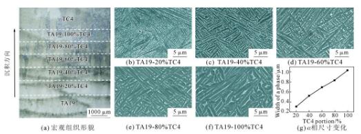 西北工业大学：激光立体成形TC4-TA19功能梯度材料的热行为和组织 - 3D科学谷