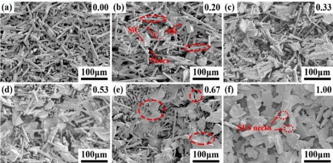 中科院上海硅酸盐所：SLS 3D打印SiC复合材料全过程微结构及性能调控 - 3D科学谷